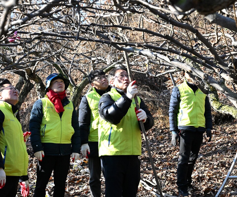 NH농협손보, 양평군 농가 일손돕기 진행